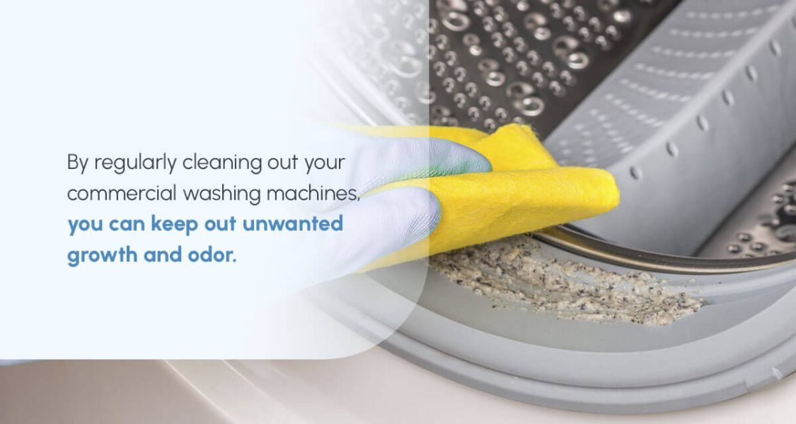 Clean Your Washing Machine: Essential Tips & Tricks